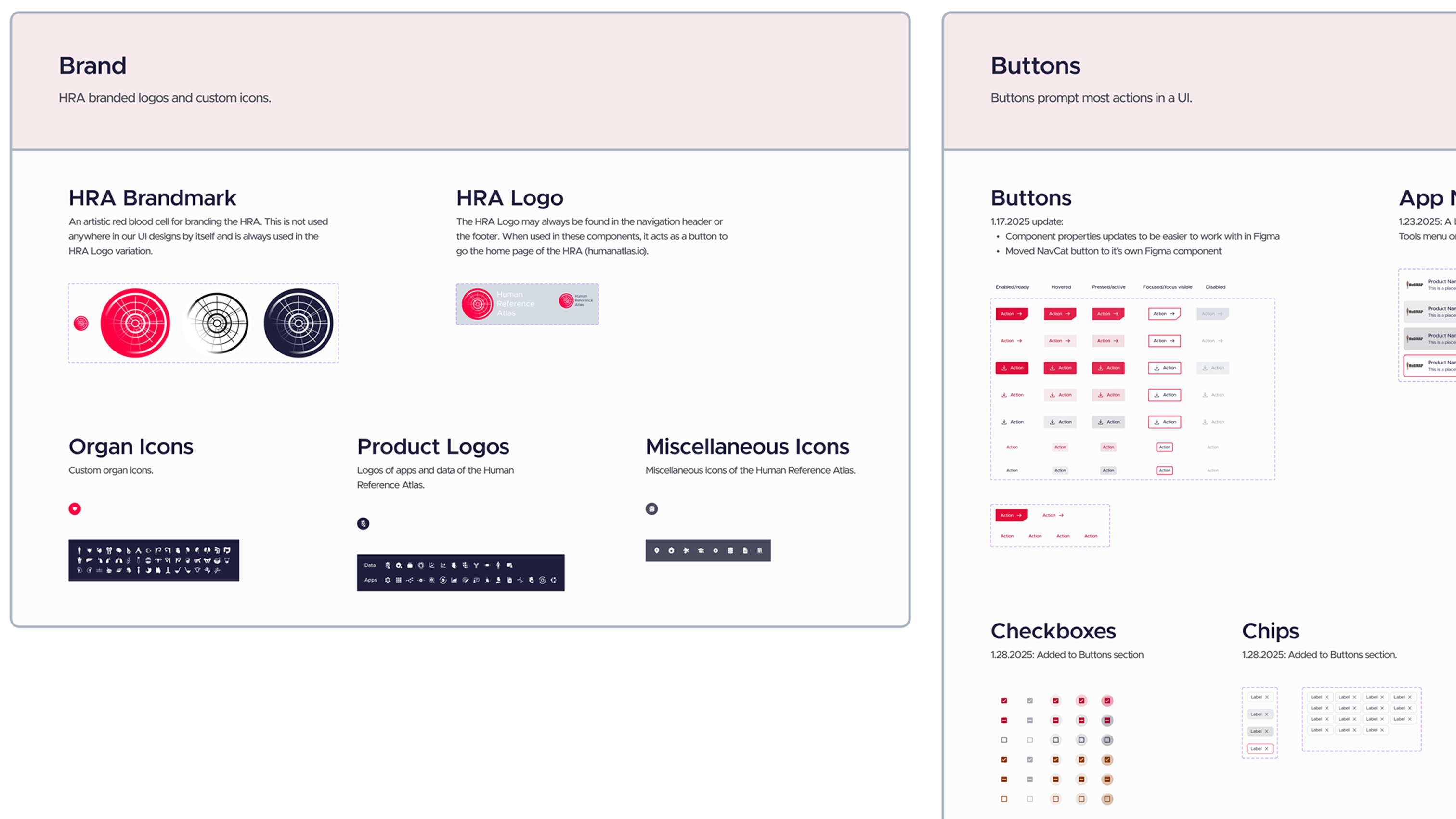 Human Reference Atlas Documentation